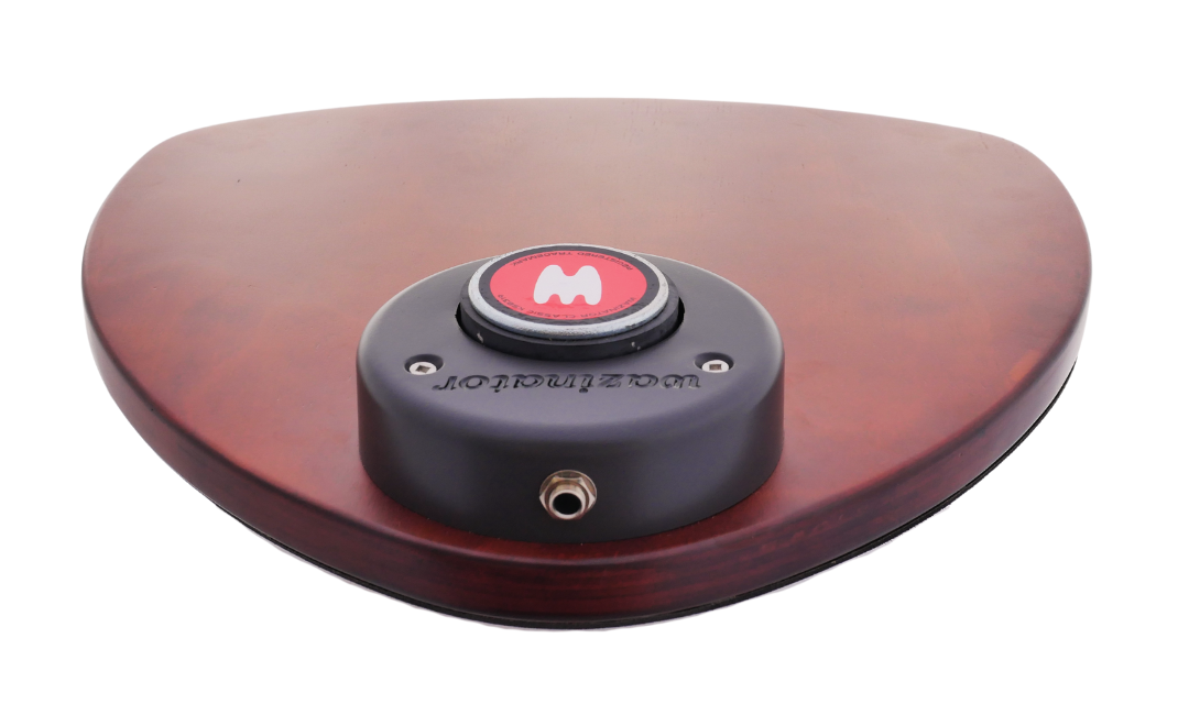 Wazinator Classic KSB319 Stompbox - including free shipping and gig ba ...